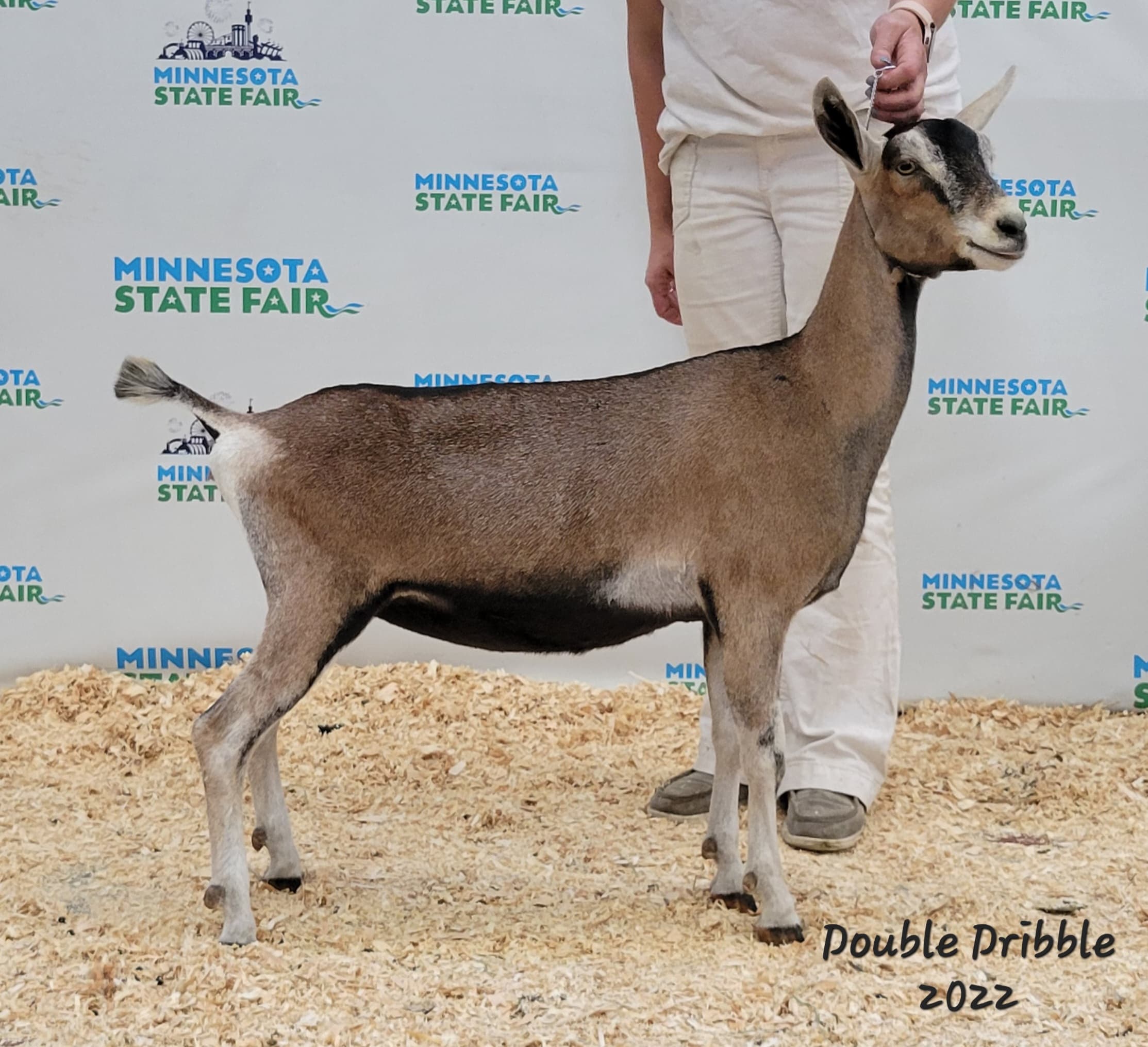 DoubleDribble | Can-ter Vine Dairy Goats